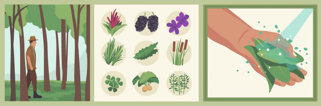 Urban Foraging: A Guide (Infographic) – Survival Stronghold