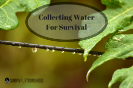 3 Unique Water Collection Tips For Survival – Survival Stronghold